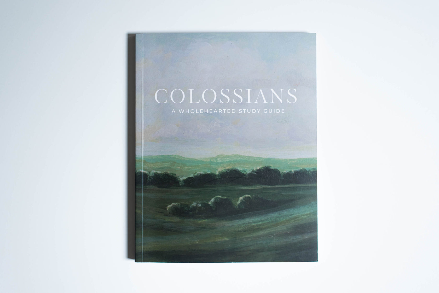 Colossians Study Guide – Wholehearted