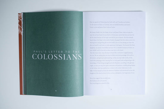 Colossians Study Guide – Wholehearted